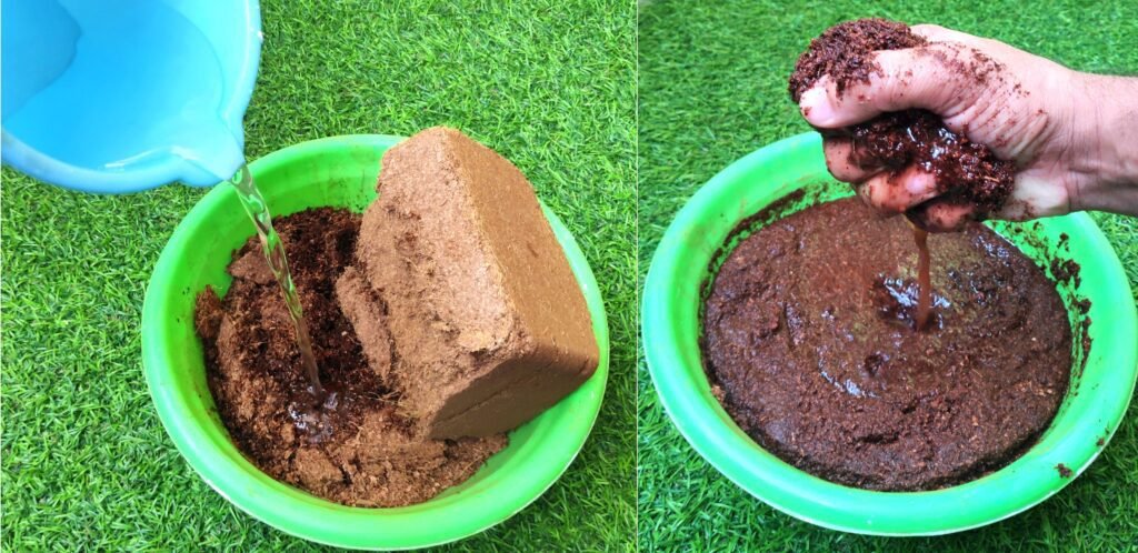Cocopeat: The Ultimate Growing Medium, Properties, Uses And Limitation ...