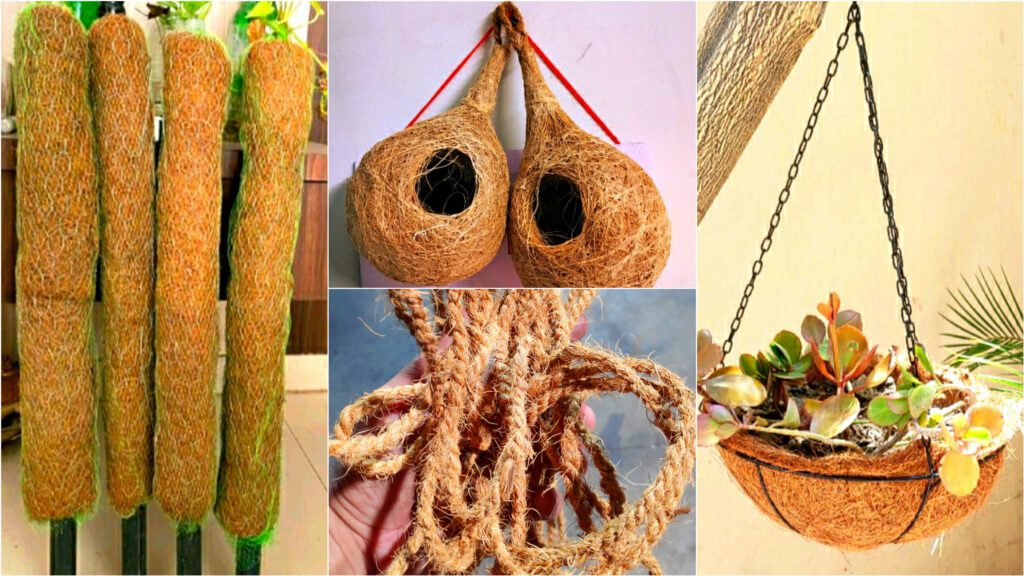 Coconut Husk, Uses And Its By-products - G4gardening
